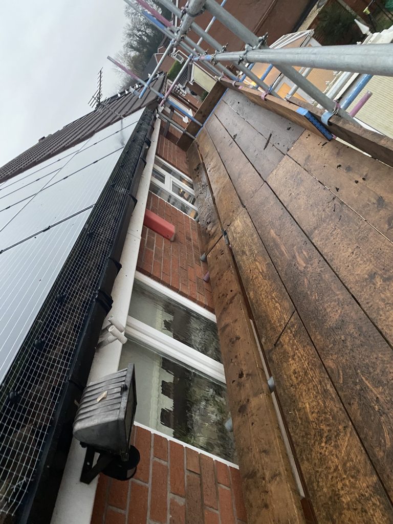 Solar Bird Protection Installation in Tamworth, Staffordshire - Encore ...